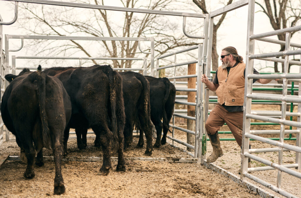 Galvanized Cattle Sweep System | Green River Gate