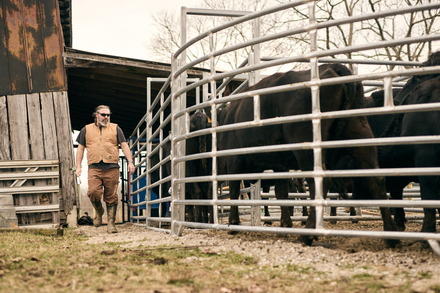 Galvanized Cattle Sweep System | Green River Gate