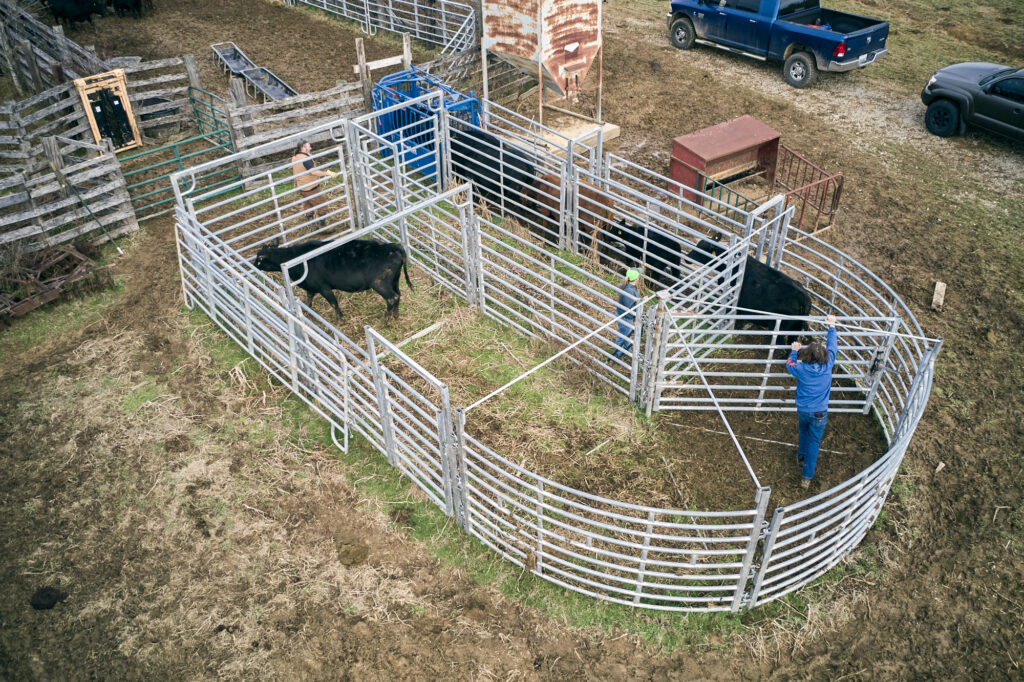 Galvanized Cattle Sweep System | Green River Gate